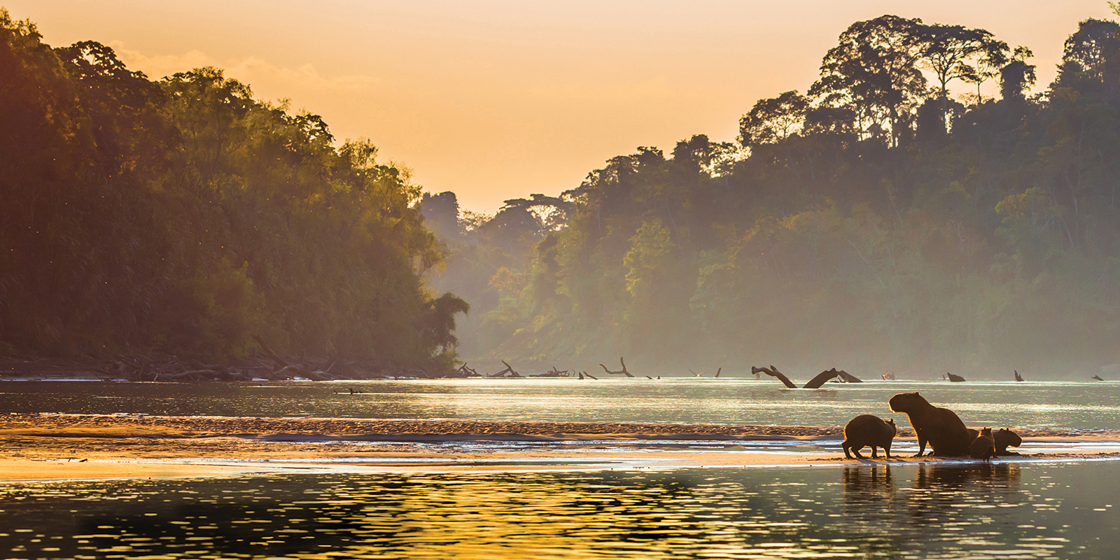 Expedition to the Amazon Rainforest | EF Educational Tours