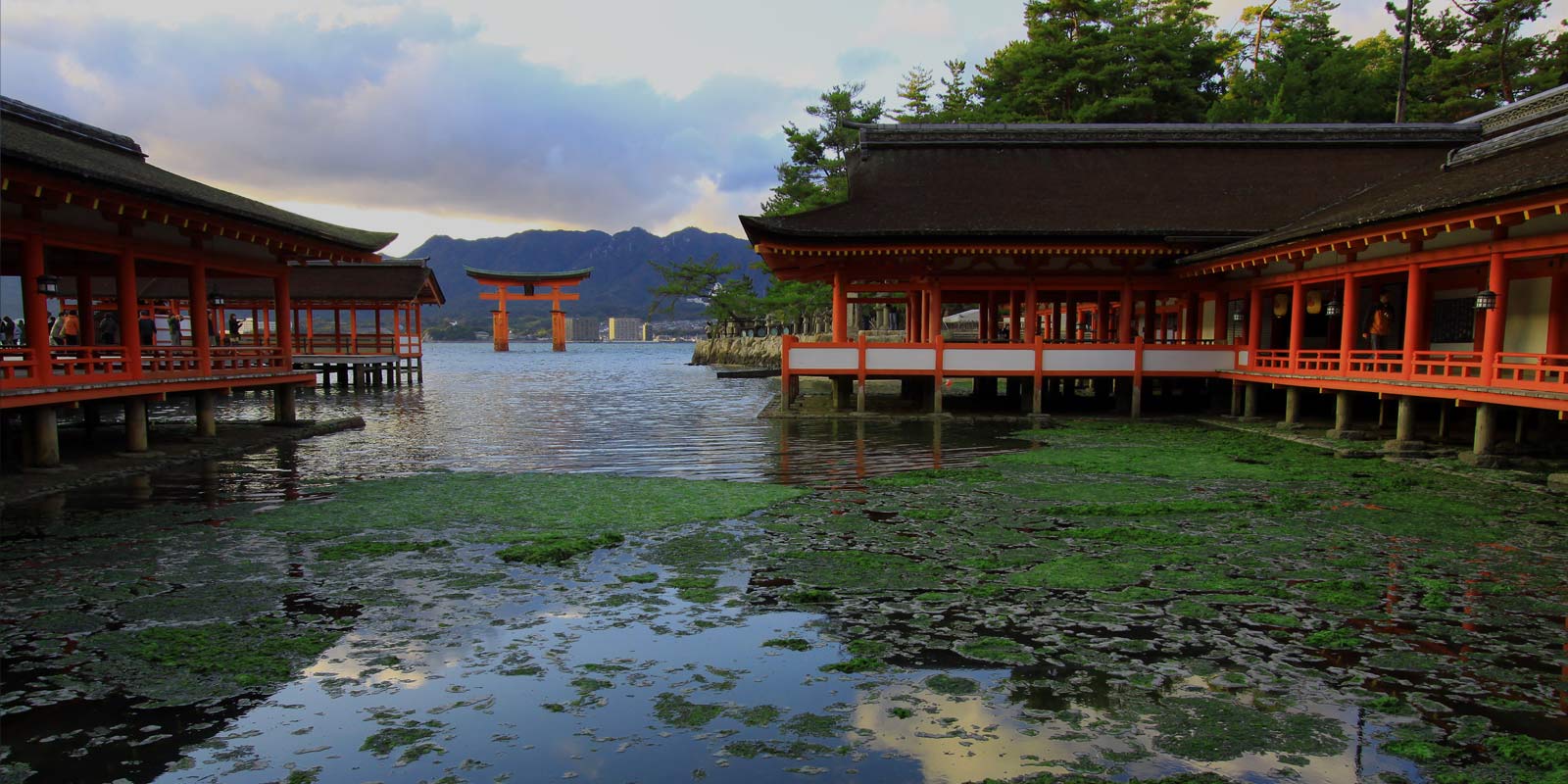 Japan: Kyoto, Hiroshima and Tokyo Reviews | EF Educational Tours