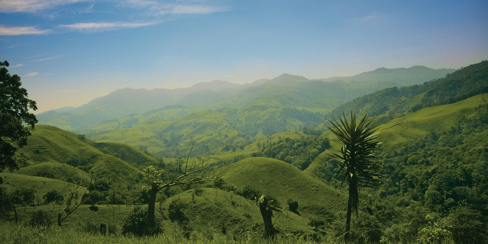 Conservation in Costa Rica | EF Educational Tours